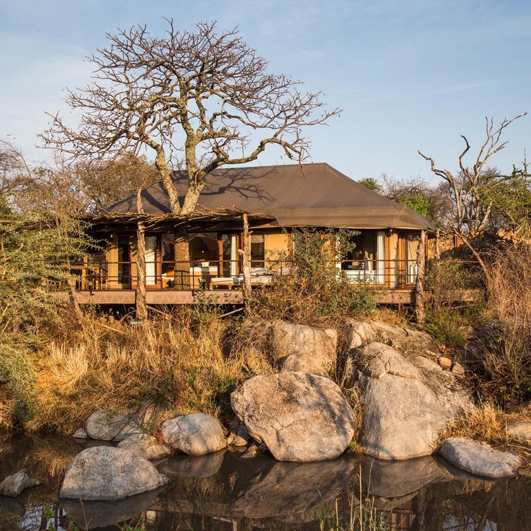 Legendary Mwiba Lodge | Luxury Hotel In Tanzania