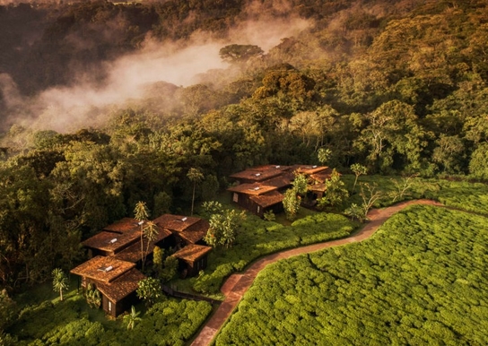 One&Only Nyungwe House | Luxury Hotel In Rwanda