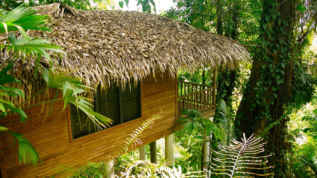 Copal Tree Lodge - Luxury Hotel In Latin America | Jacada Travel